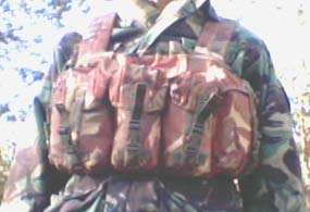 DPM Chest Rig - Elliott Military